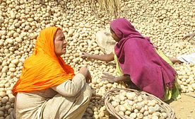 India’s Food Security Problem – The Diplomat