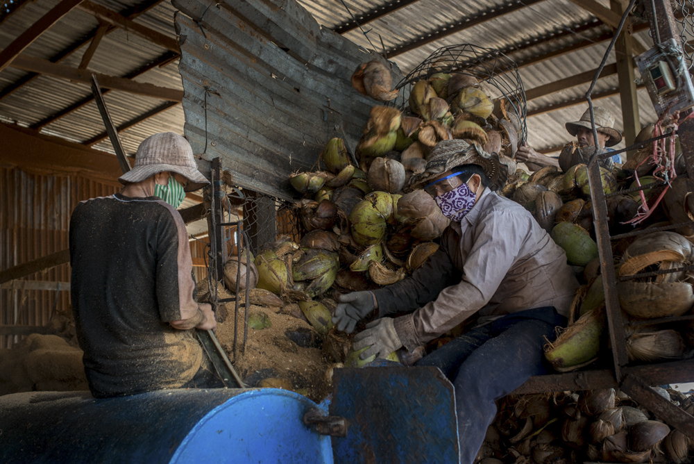 Coconuts Reimagined – The Diplomat