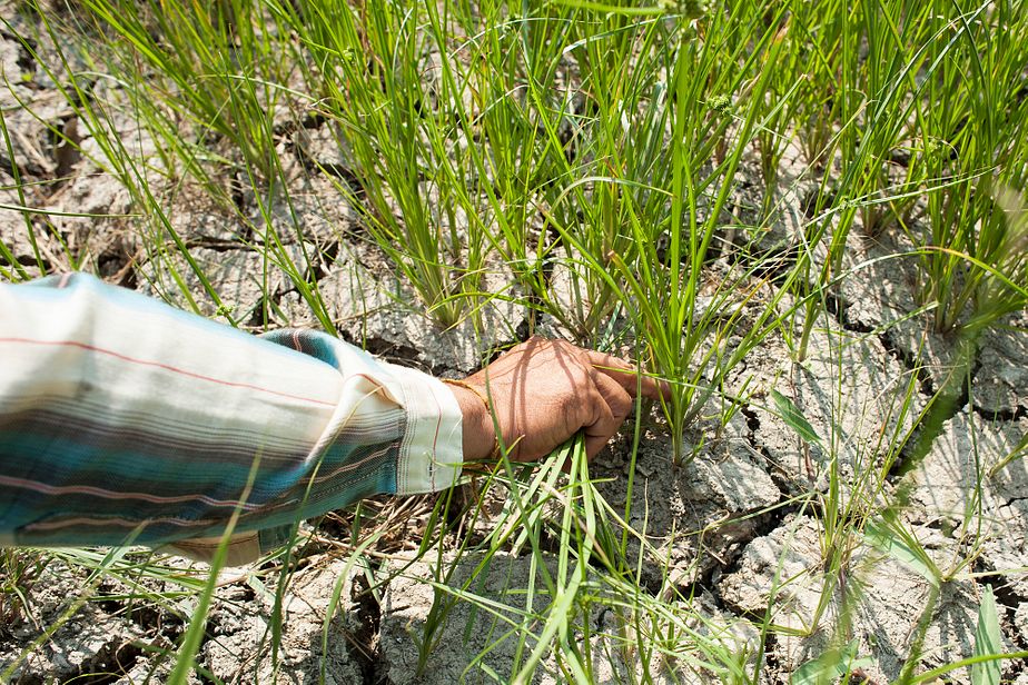 Thailand’s Drought Struggle – The Diplomat