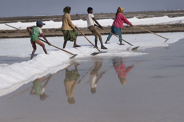 The Salt Farmers of the Rann of Kutch – The Diplomat