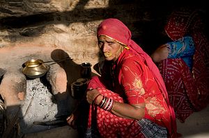 The Bishnoi: India’s First Environmentalists – The Diplomat