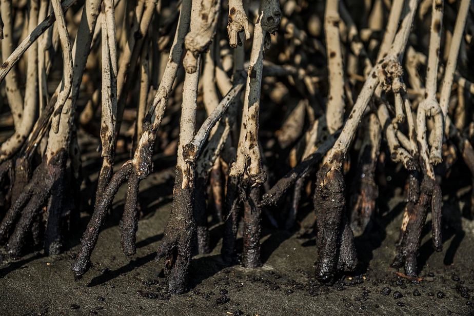 Oil Spilling Into the Java Sea – The Diplomat