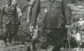 The Real Story of the Destruction of Force Z – The Diplomat