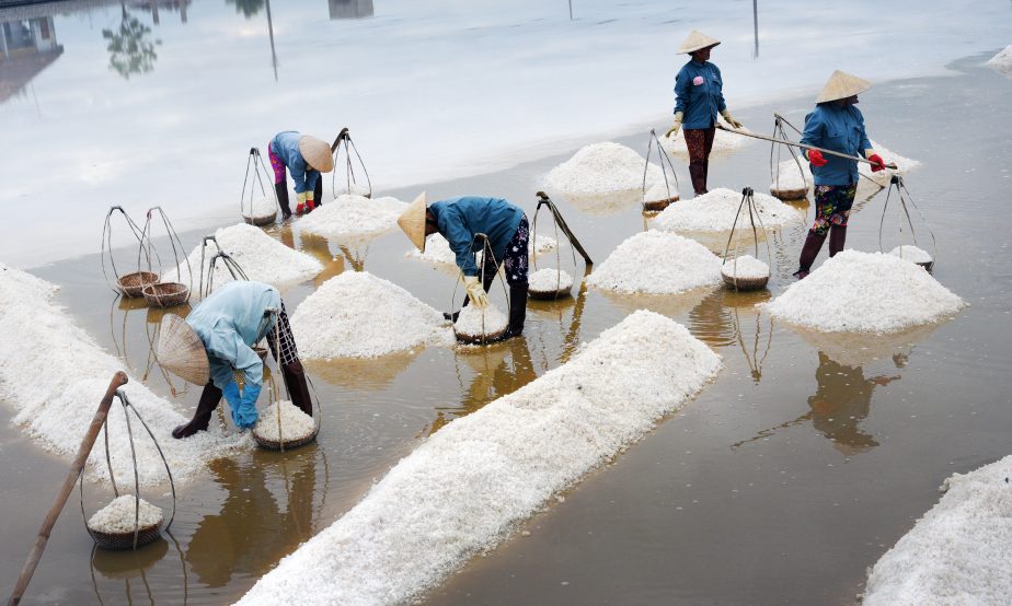 Harvesting White Gold: Vietnam Salt Farmers Amid Climate Change and ...