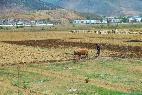 Living and Dying for Rice in North Korea – The Diplomat