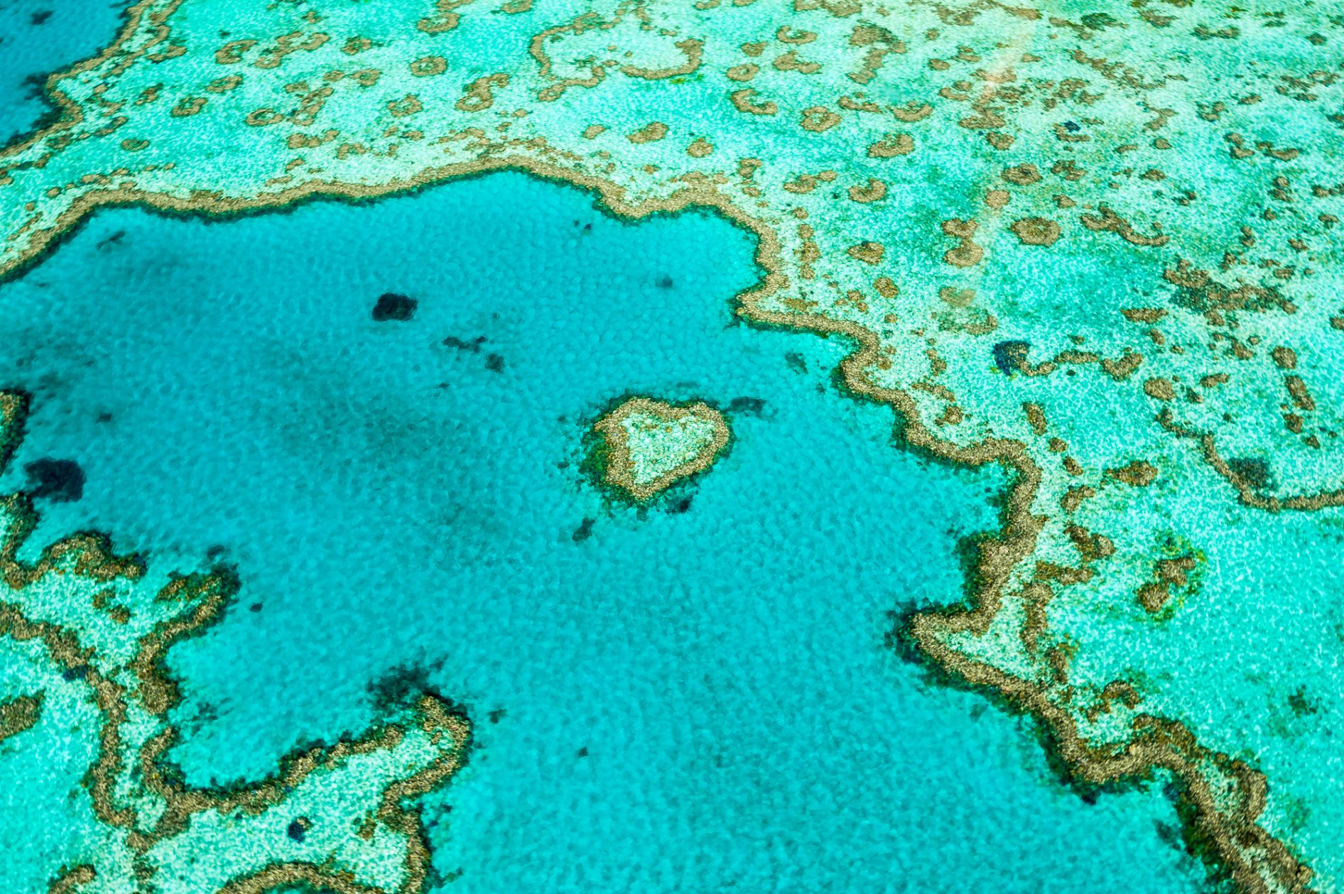 Australia Welcomes Lifting of UNESCO Threat to List Great Barrier Reef as World Heritage in ...