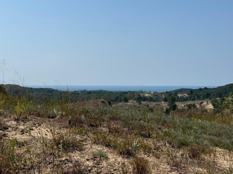 The Real Lessons From the Michigan Ghost Town Called Singapore – The ...