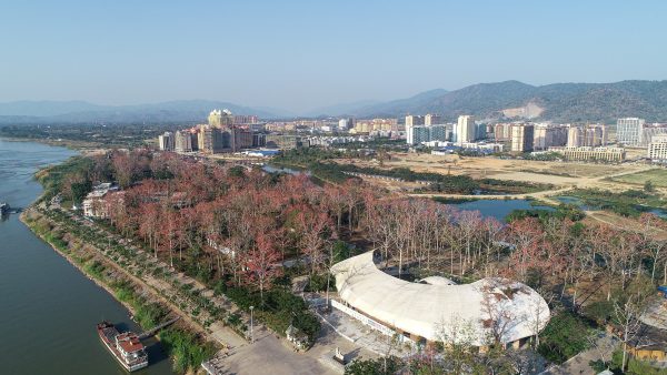 Laos Issues Ultimatum to Golden Triangle Scam Operators – The Diplomat