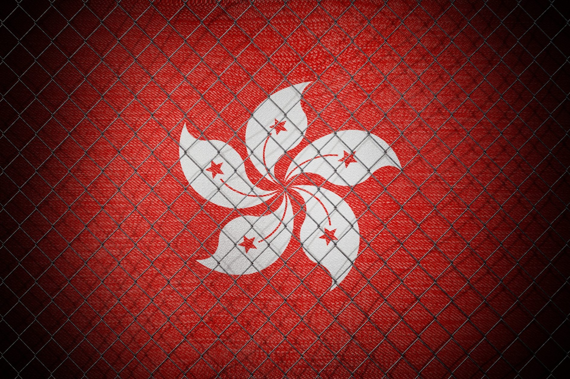 Hong Kong’s Prison Rule Amendments Create a New Chilling Zone – The ...